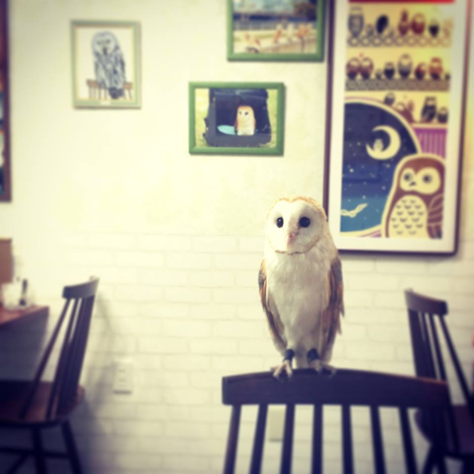 【閉店】高円寺：Cafe Baron | AYAKOの東京ノマドカフェ図鑑AYAKOの東京ノマドカフェ図鑑